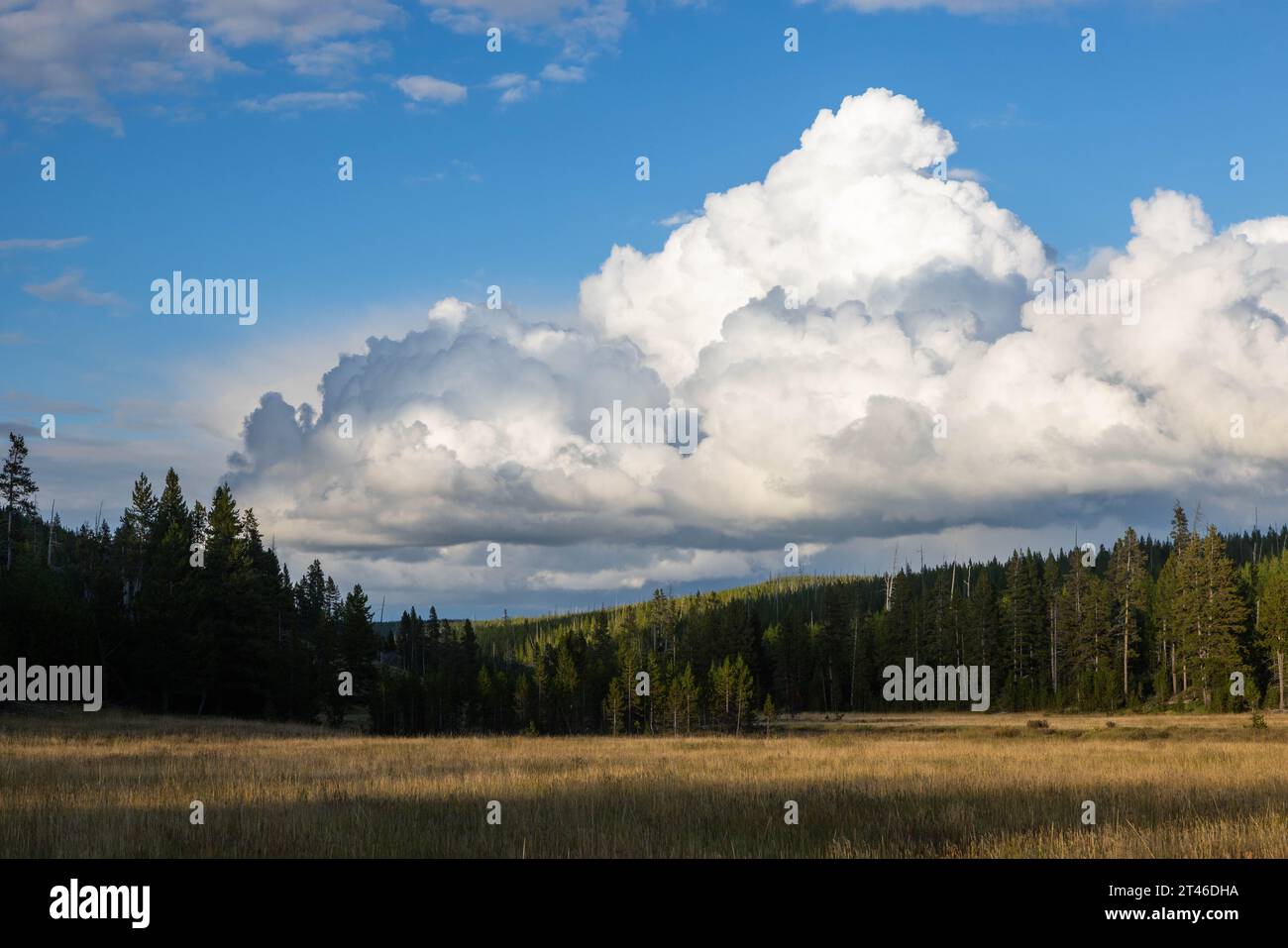 A storm cloud looming in the distance over a large meadow along the ...