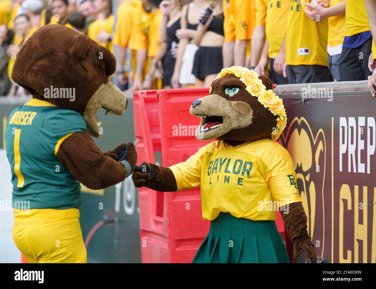 October 28 2023: Baylor Bears mascots during the 2nd half of the NCAA ...