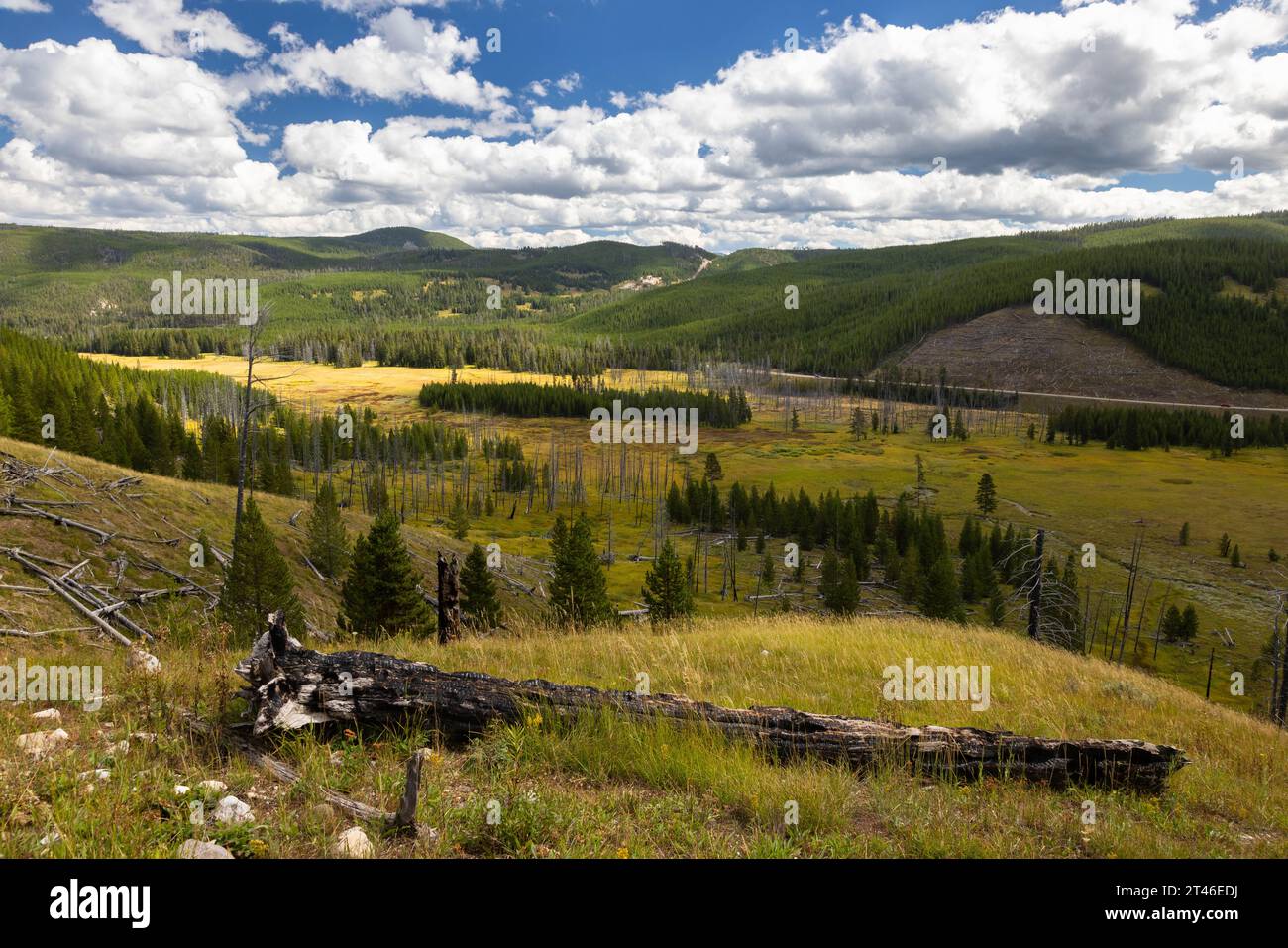 The Grand Loop Road winding past a large meadow below the Grizzly Lake ...