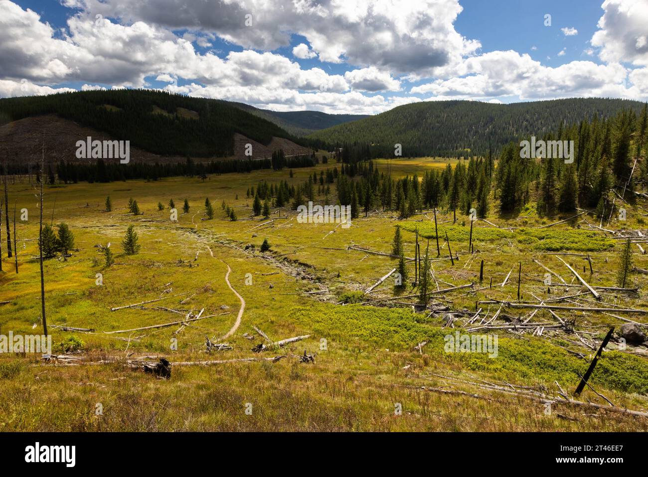 The Grizzly Lake Trail crossing a large meadow before reaching the ...