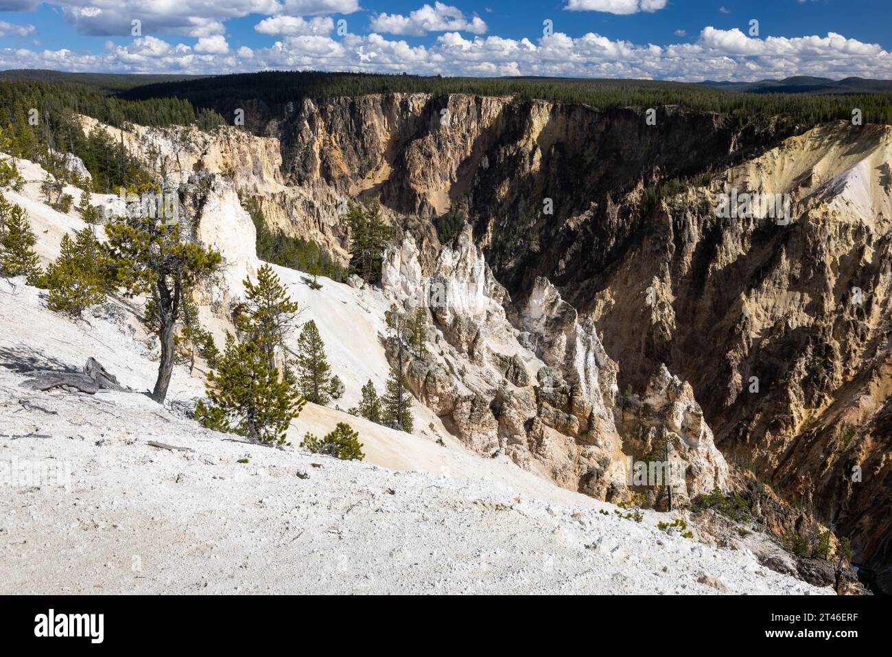 Bright white rhyolite rock descending into the Grand Canyon of the ...