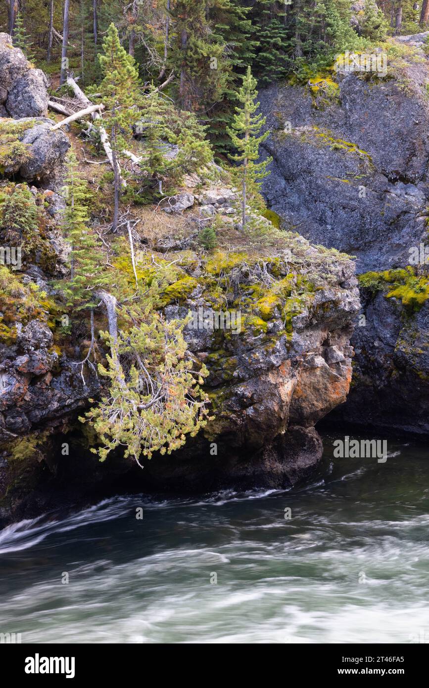 An upside-down tree clinging to large rocks and boulders above the ...