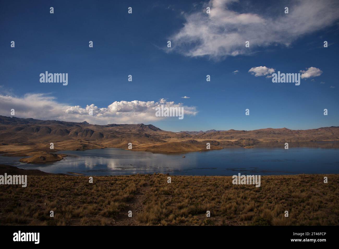 Laguna Lagunillas - one of the highest lakes on the Andean plateau ...