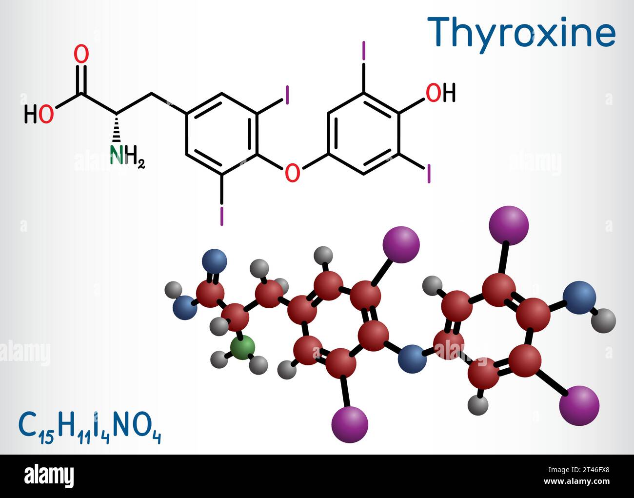 Thyroxine, T4, levothyroxine molecule. It is thyroid hormone ...