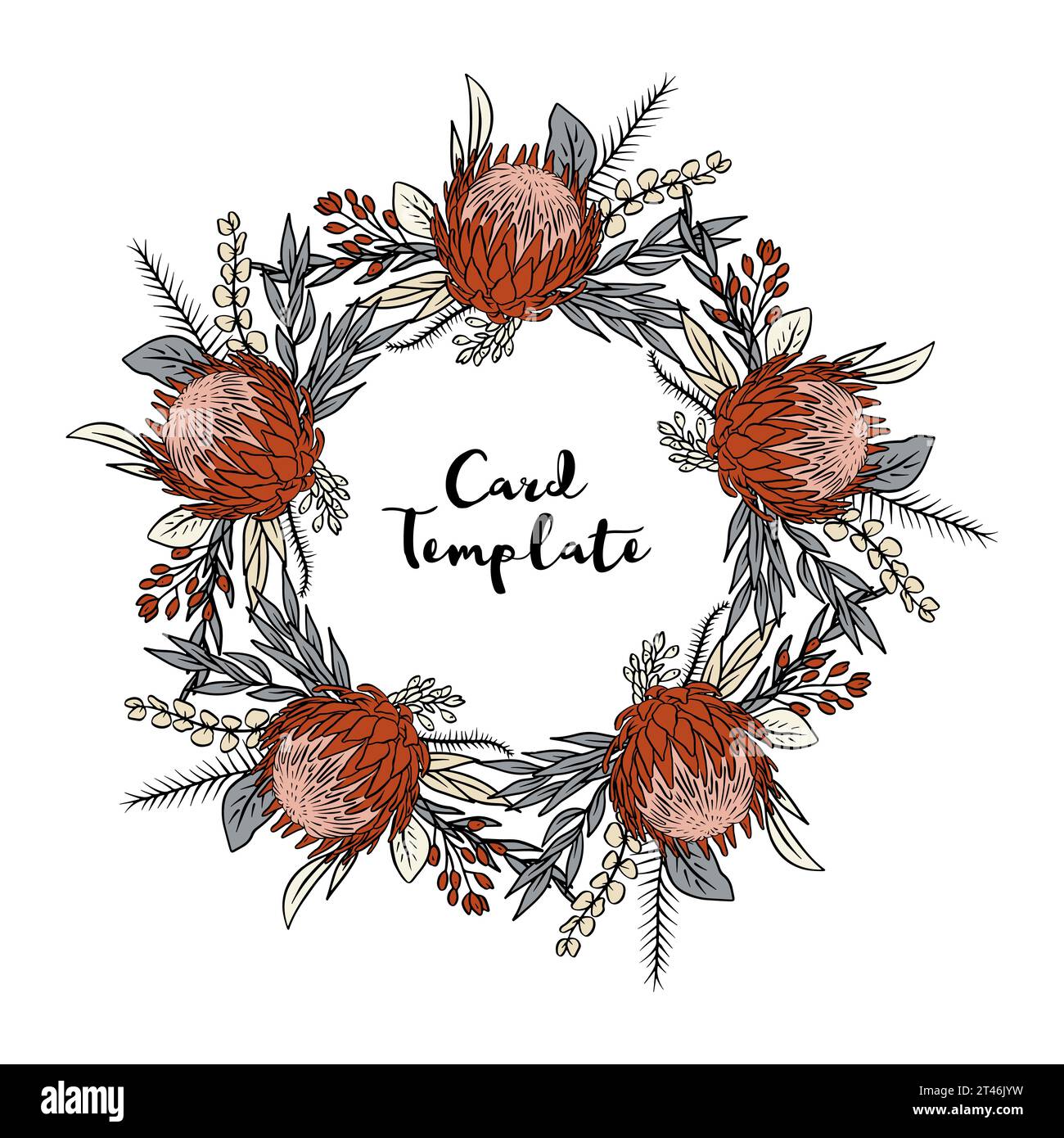 Hand drawn colorful line art tropical protea flower round frame Stock ...