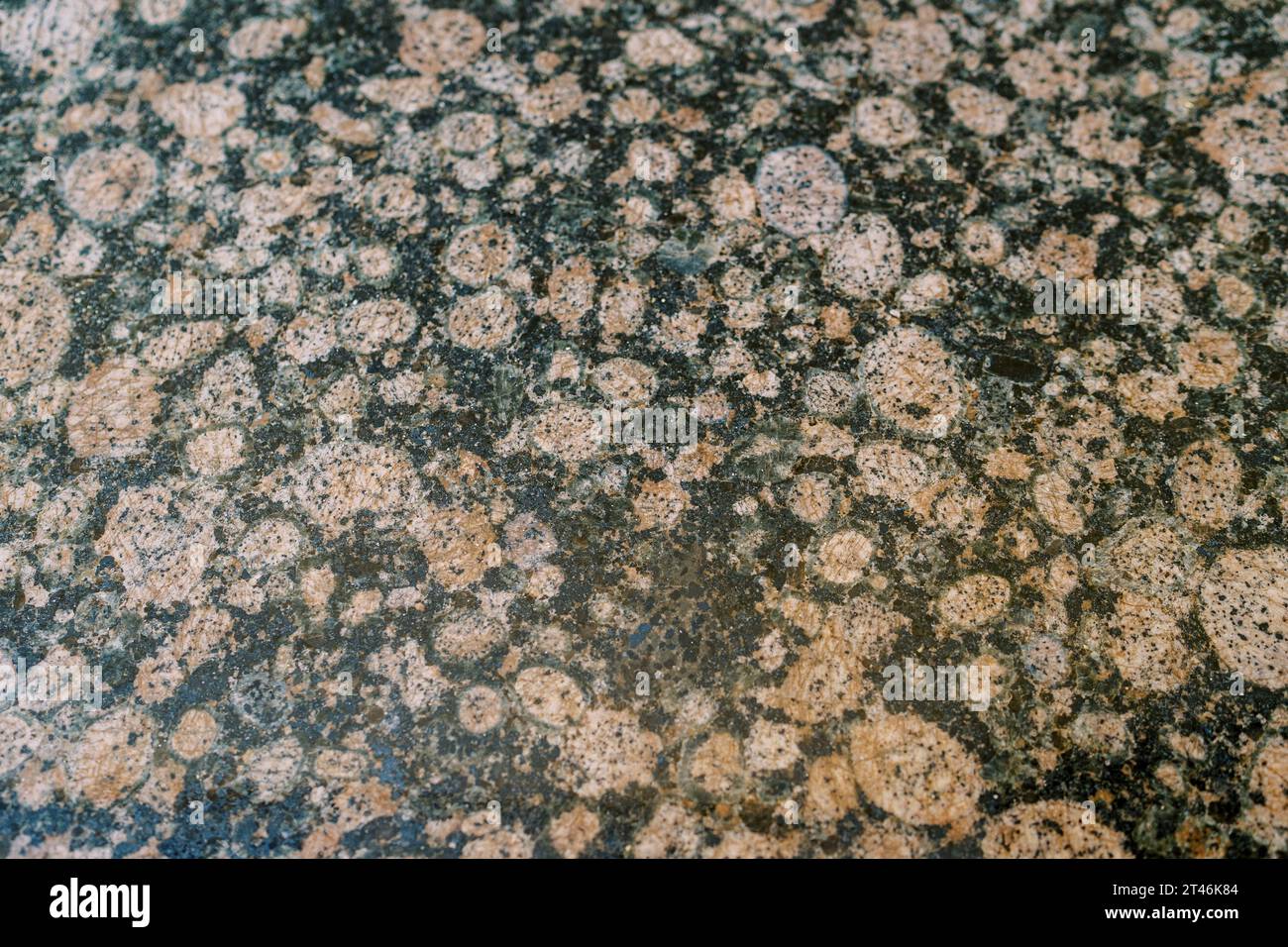 Abstract texture of granite with round splashes Stock Photo - Alamy