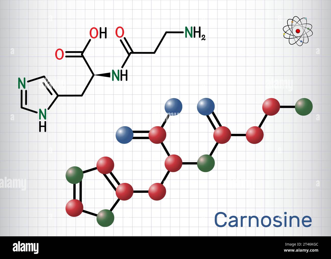 Carnosine dipeptide molecule. It is anticonvulsant, antioxidant ...