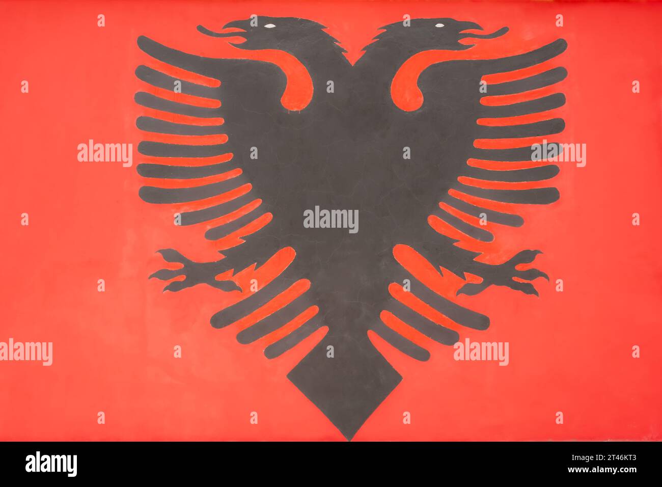 Close up of flag of Albania painted on the wall. Concept of Albania ...