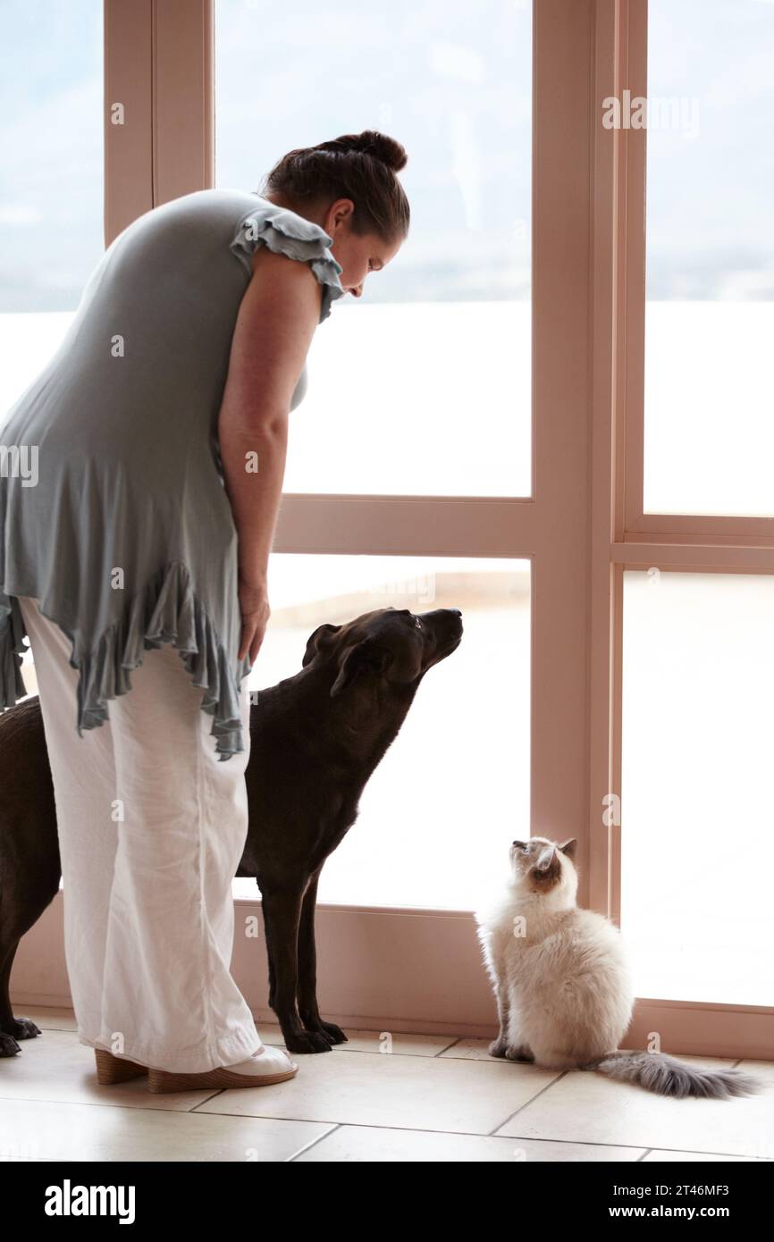 Pets, waiting and woman at the door of home to open for cat and dog to ...