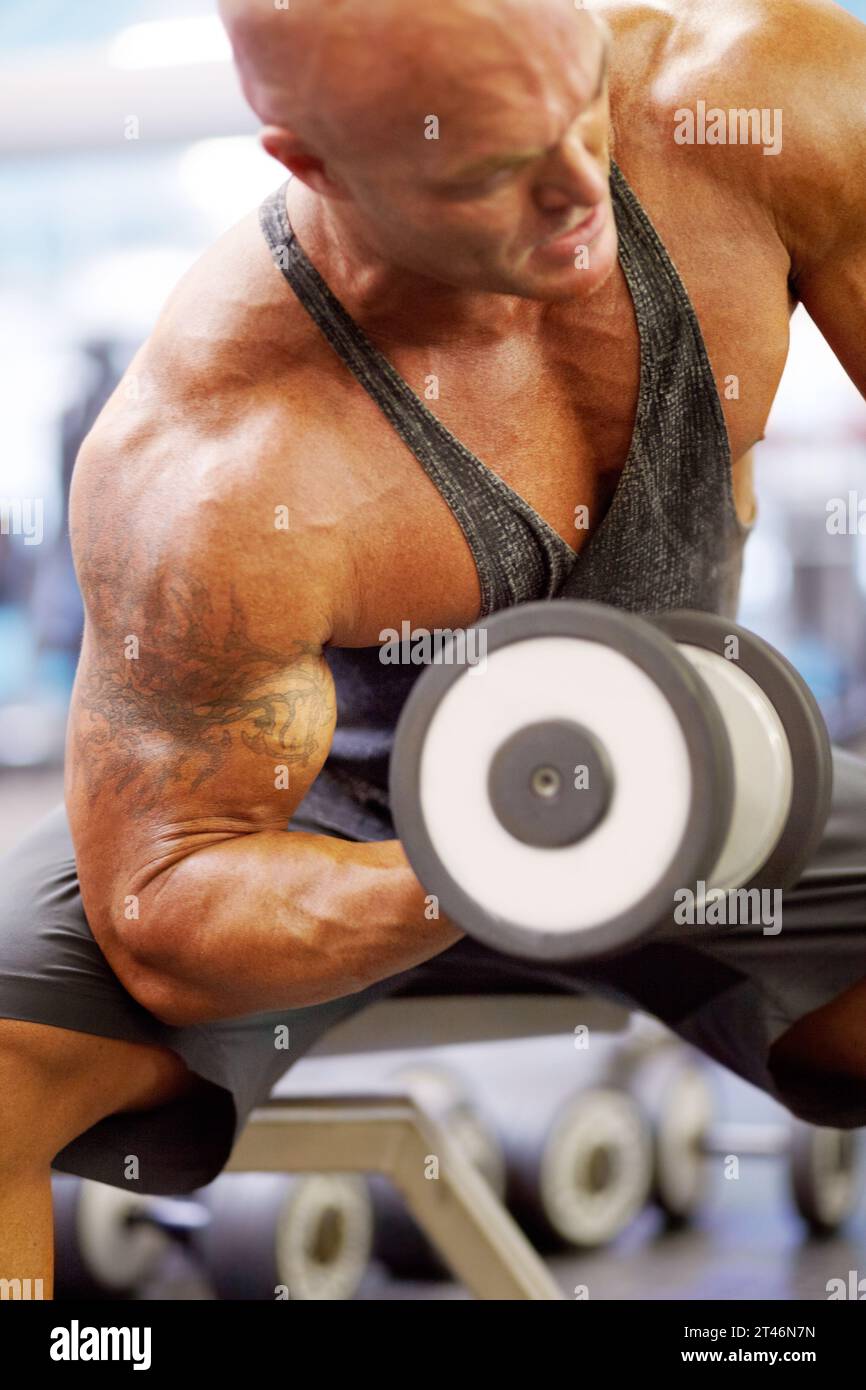 Arm press, man and dumbbell lift for fitness at gym with bodybuilder ...