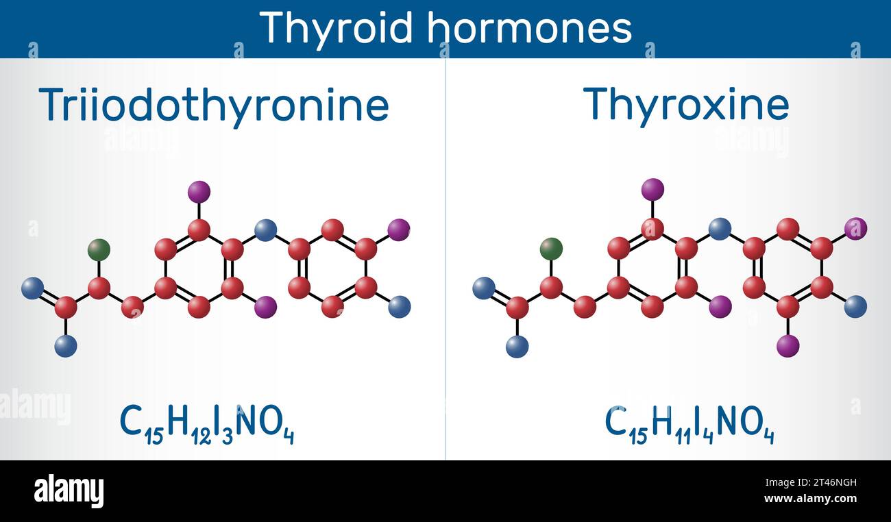 Thyroid hormones: Triiodothyronine (T3, levothyroxine) and Thyroxine ...