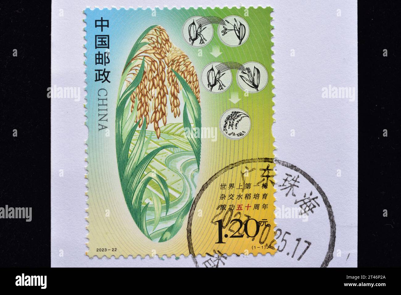 CHINA - CIRCA 2023: A stamps printed in China shows 2023-22 50th ...