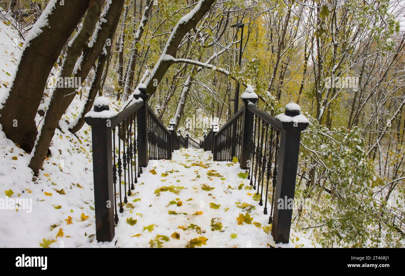 Pathway Through Yellowing Trees in Cold Autumn Day with Snow and ...