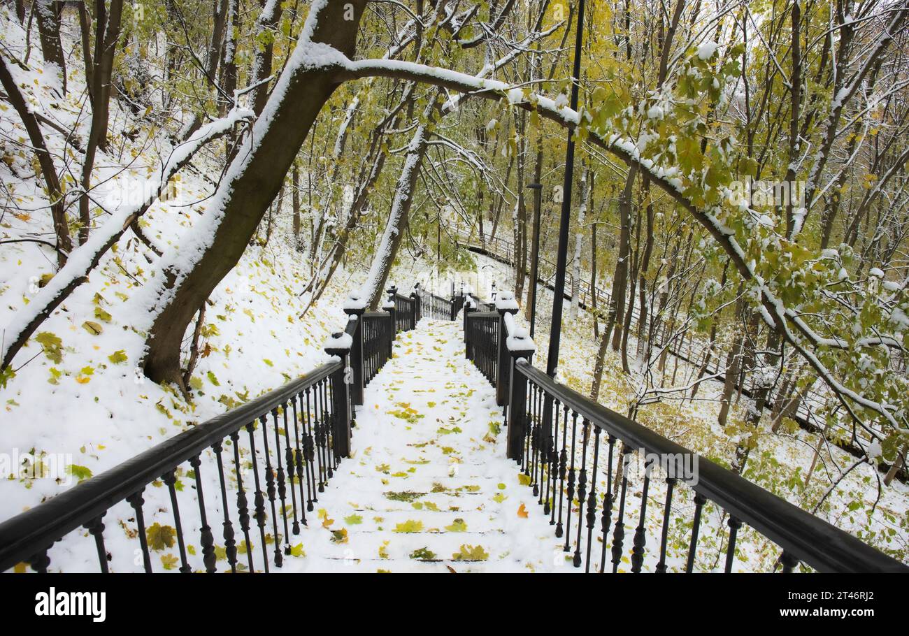 Pathway Through Yellowing Trees in Cold Autumn Day with Snow and ...