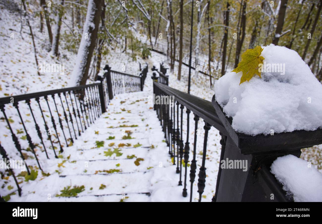 Pathway Through Yellowing Trees in Cold Autumn Day with Snow and ...