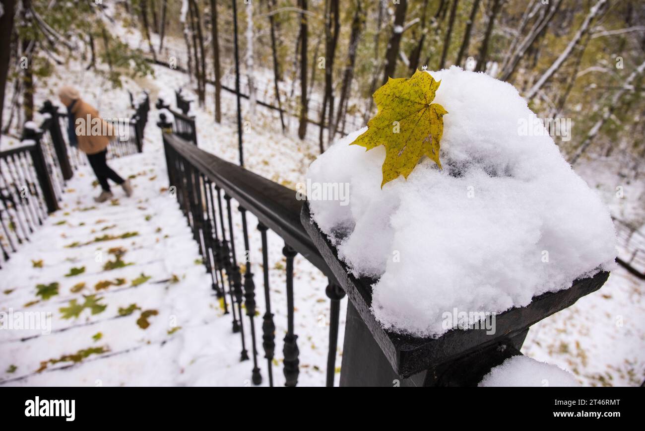 Pathway Through Yellowing Trees in Cold Autumn Day with Snow and ...