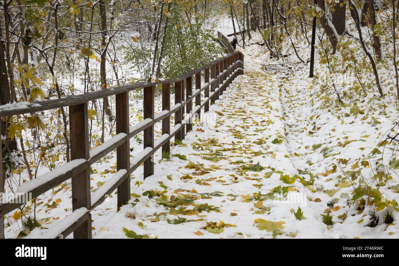 Pathway Through Yellowing Trees in Cold Autumn Day with Snow and ...