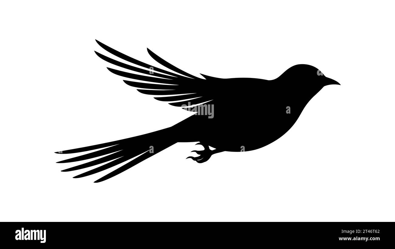 Black flying bird silhouette isolated on white background. Vector ...