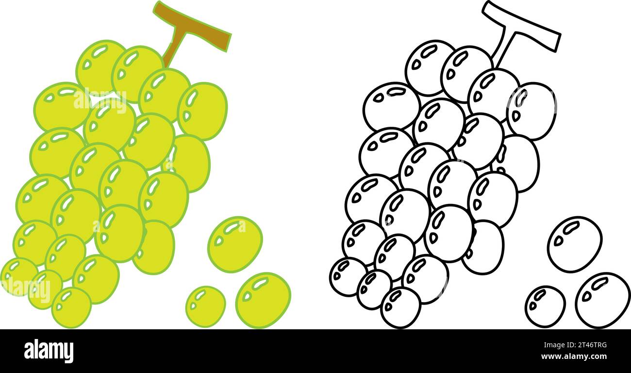 Icons of Muscat with white background Stock Photo - Alamy