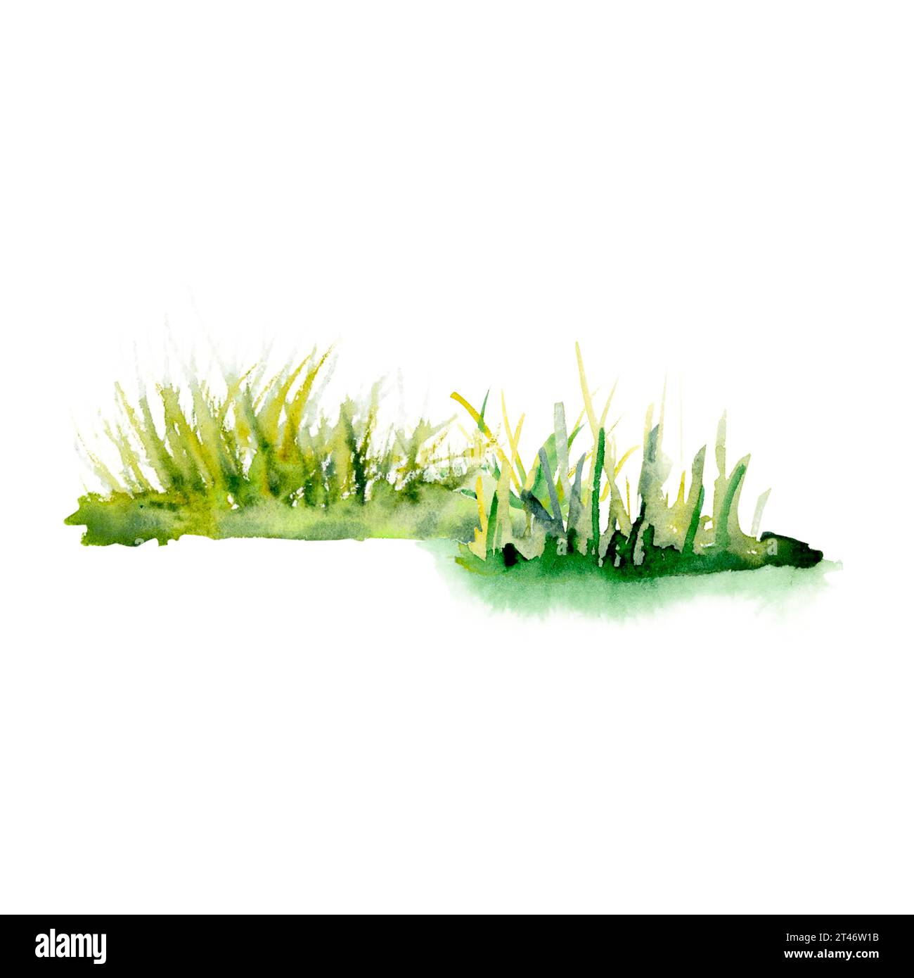 Watercolor aquarelle drawing set of easter spring grass dark and light ...