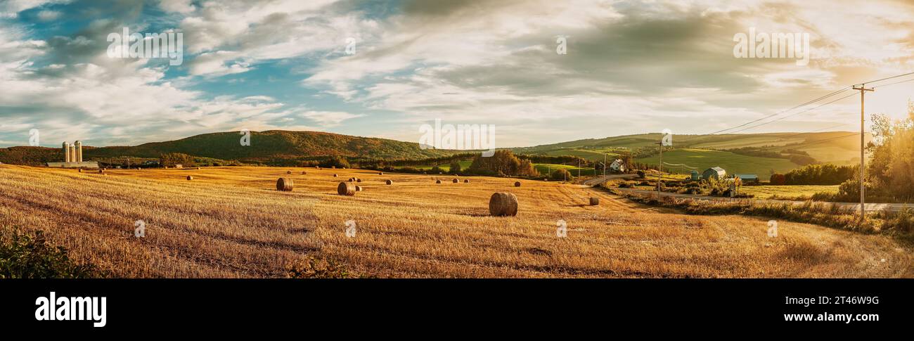 A lush green farmland with a multitude of circular hay bales dotting ...