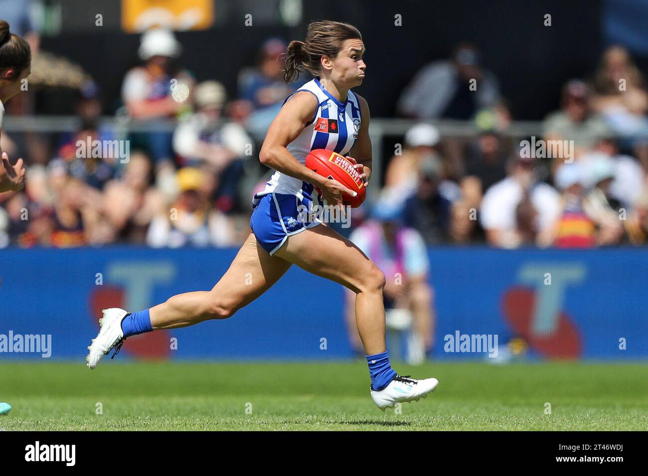 Adelaide, Australia. 29th Oct, 2023. Ash Riddell of the Kangaroos ...
