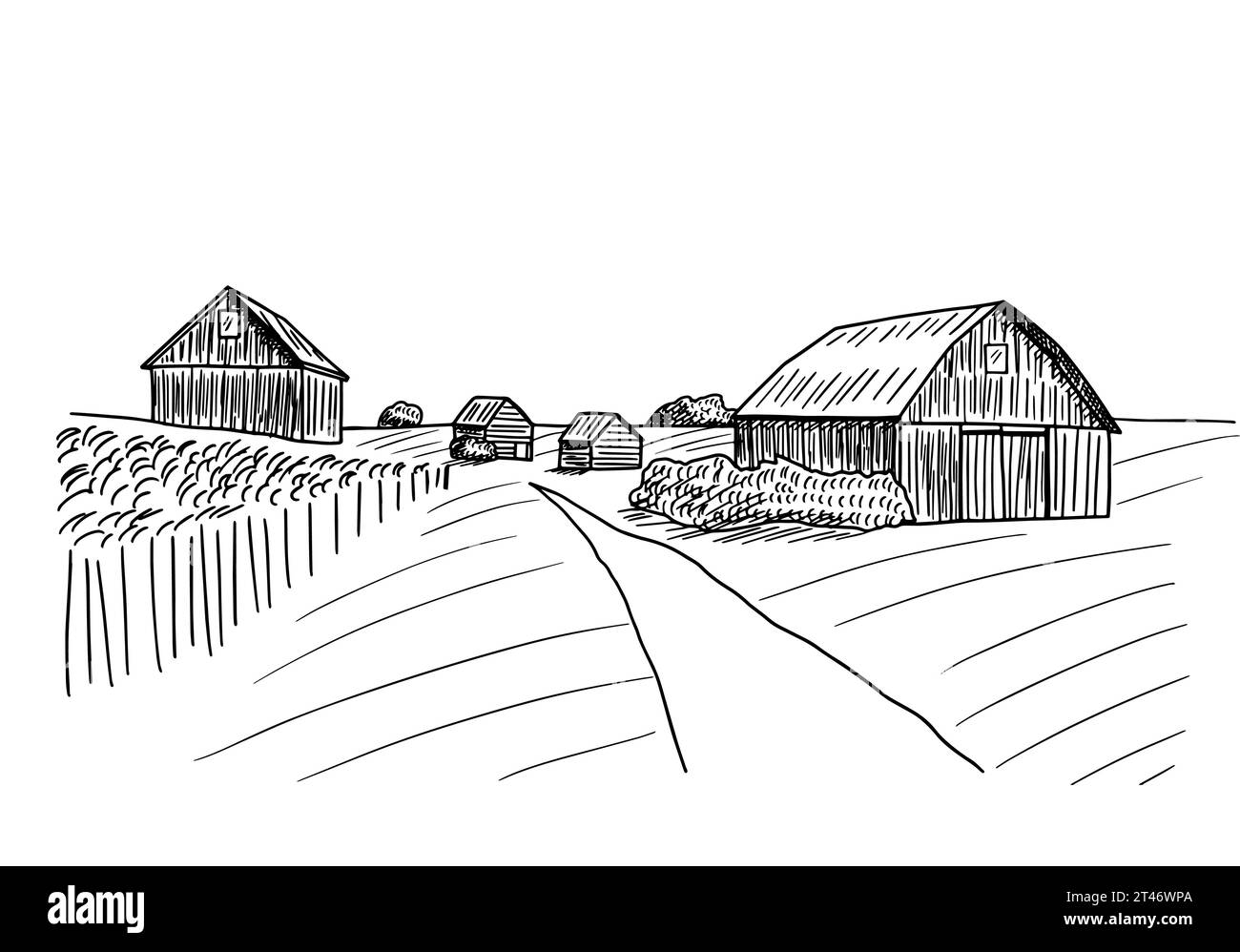 Rural landscape hand drawn sketch vector illustration Stock Vector ...