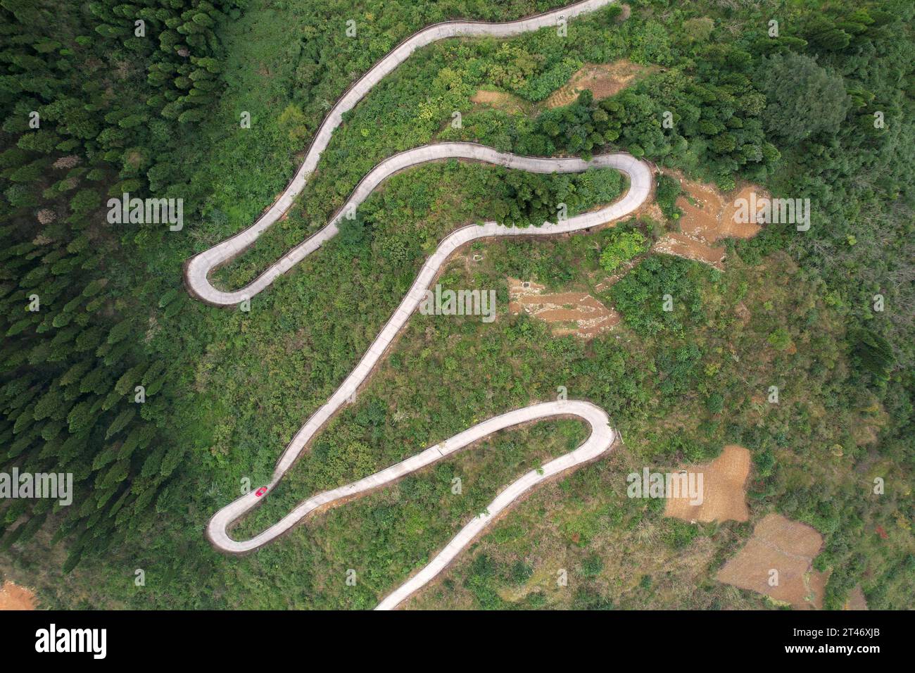 Neijiang, China. 29th Oct, 2023. NEIJIANG, CHINA - OCTOBER 28, 2023 ...