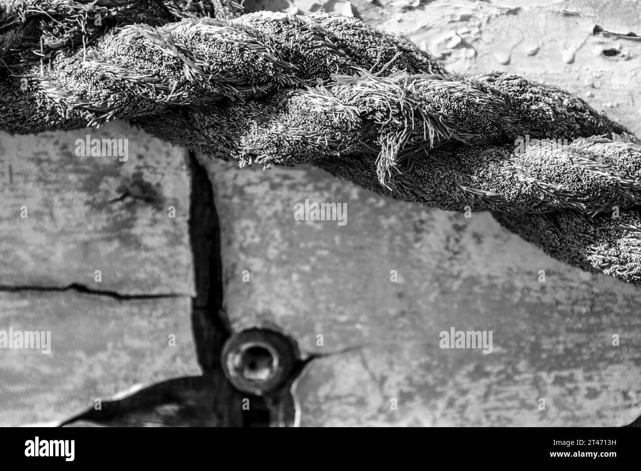 Tied fish Black and White Stock Photos & Images - Alamy