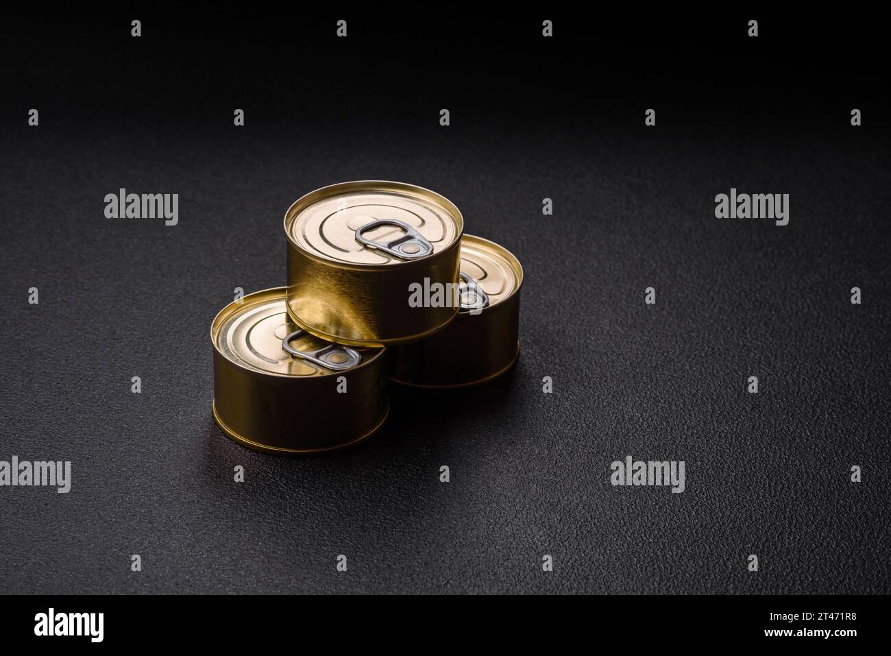 Round metal can with canned fish or meat with a key on a concrete ...