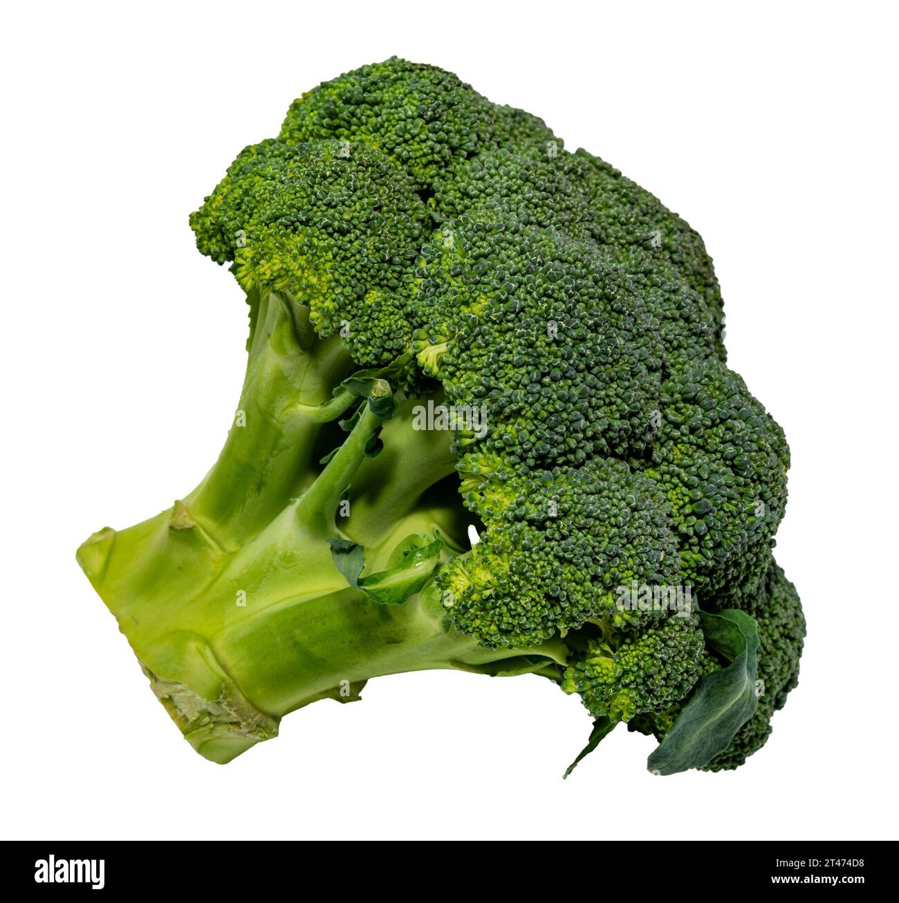 Broccoli on a white background. Cabbage isolate Stock Photo - Alamy