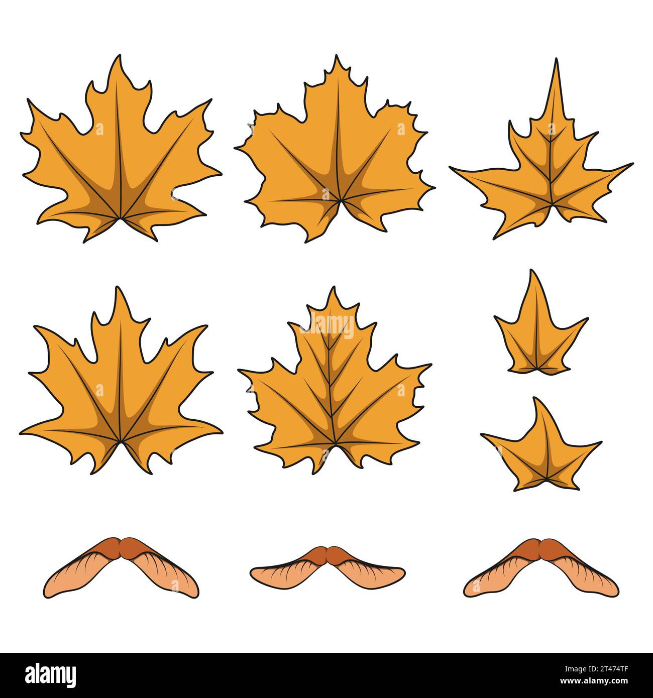 Fallen yellow maple leaf Stock Vector Images - Alamy