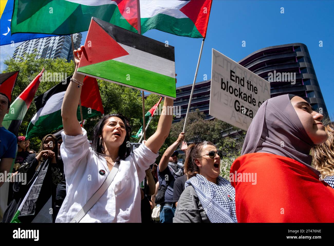 Pro palestinian flags hi-res stock photography and images - Alamy