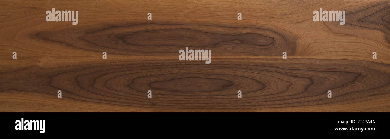 Long texture of two boards of american black walnut wood with sapwood ...