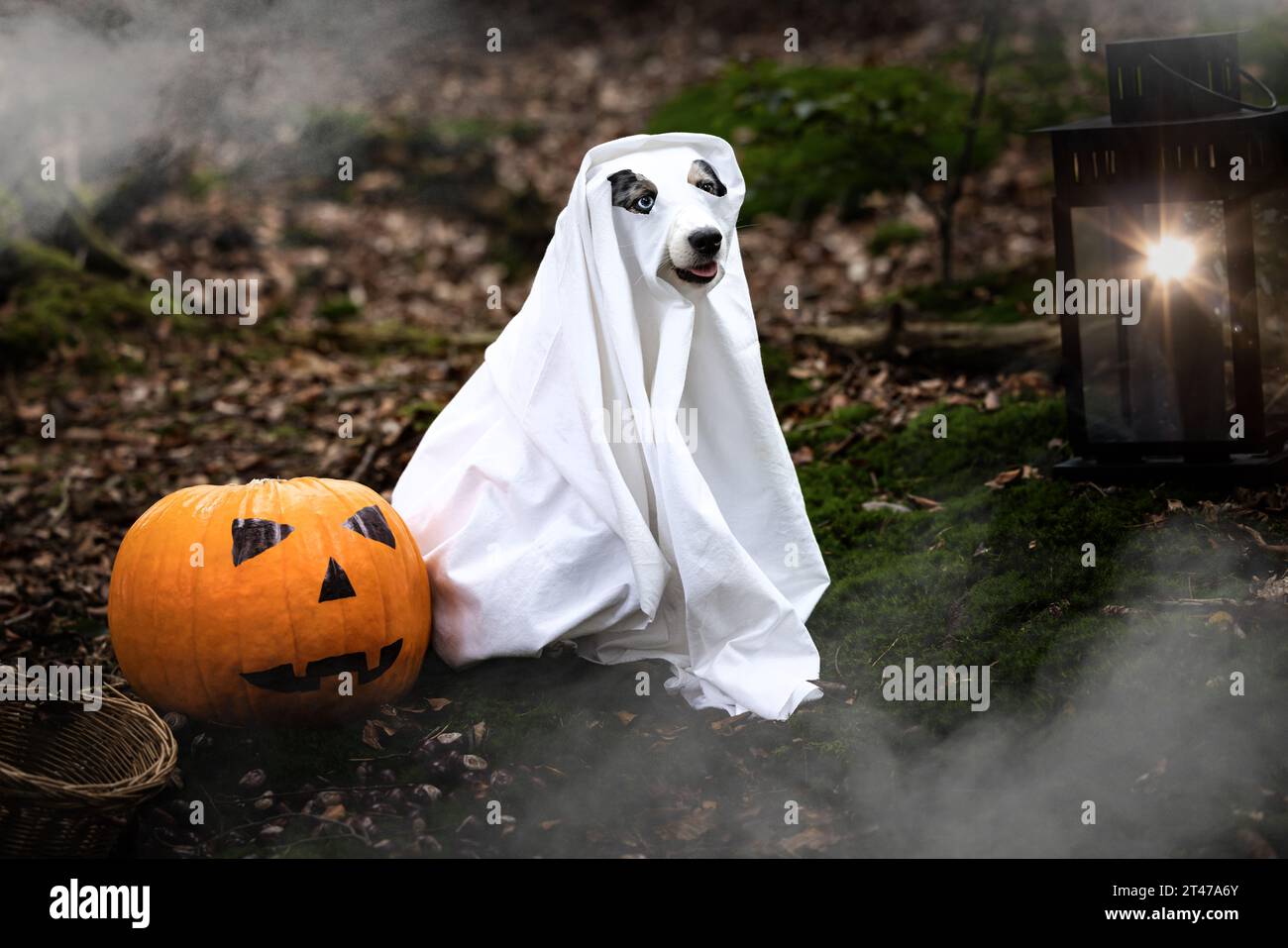 Costume more hi-res stock photography and images - Alamy