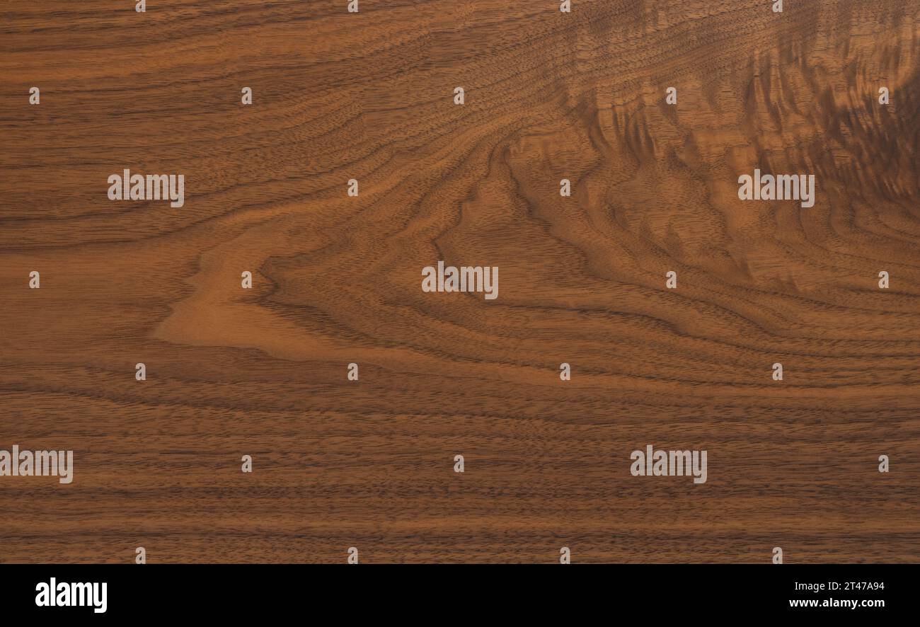 Texture of two boards of american black walnut wood after sun exposure ...