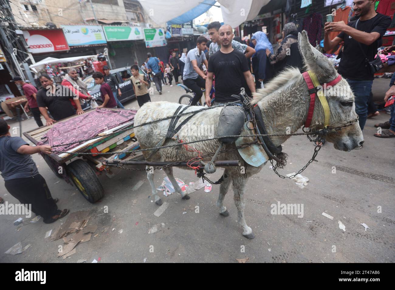 Palestinians use animal-drawn carts as taxis to move between ...