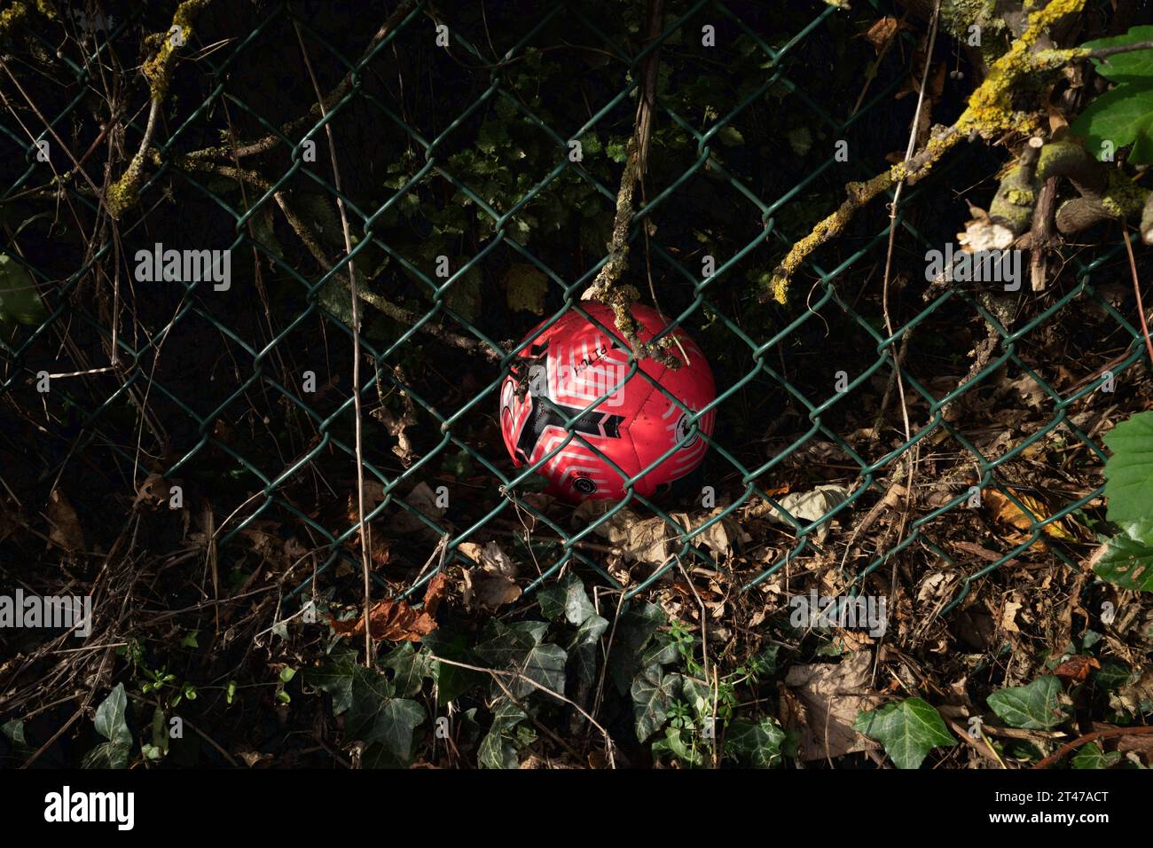 Lost football hidden by hedge hi-res stock photography and images - Alamy