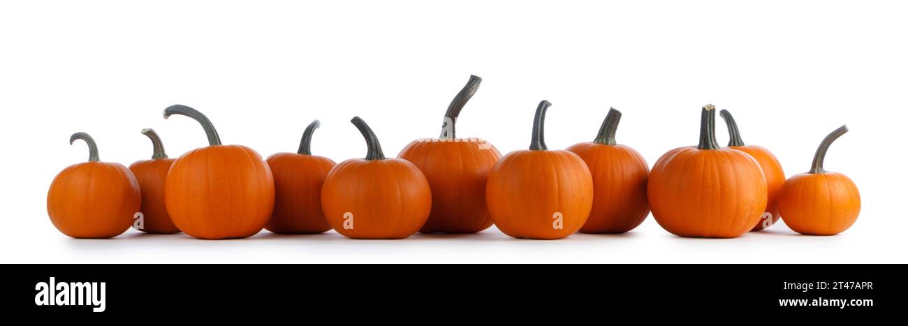 Autumn pumpkins collection border Cut Out Stock Images & Pictures - Alamy