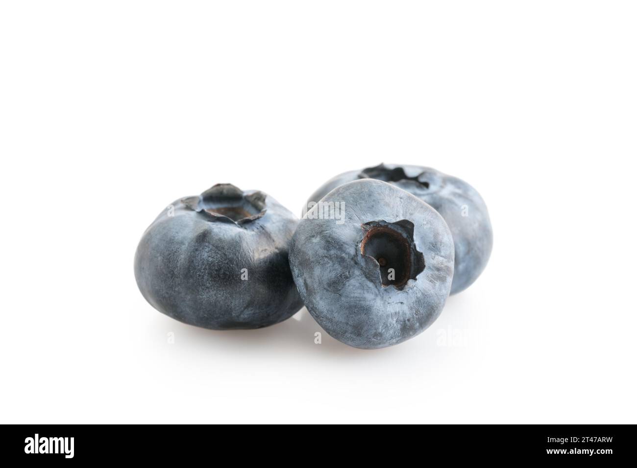 Three blueberries isolated on white background, side view Stock Photo ...