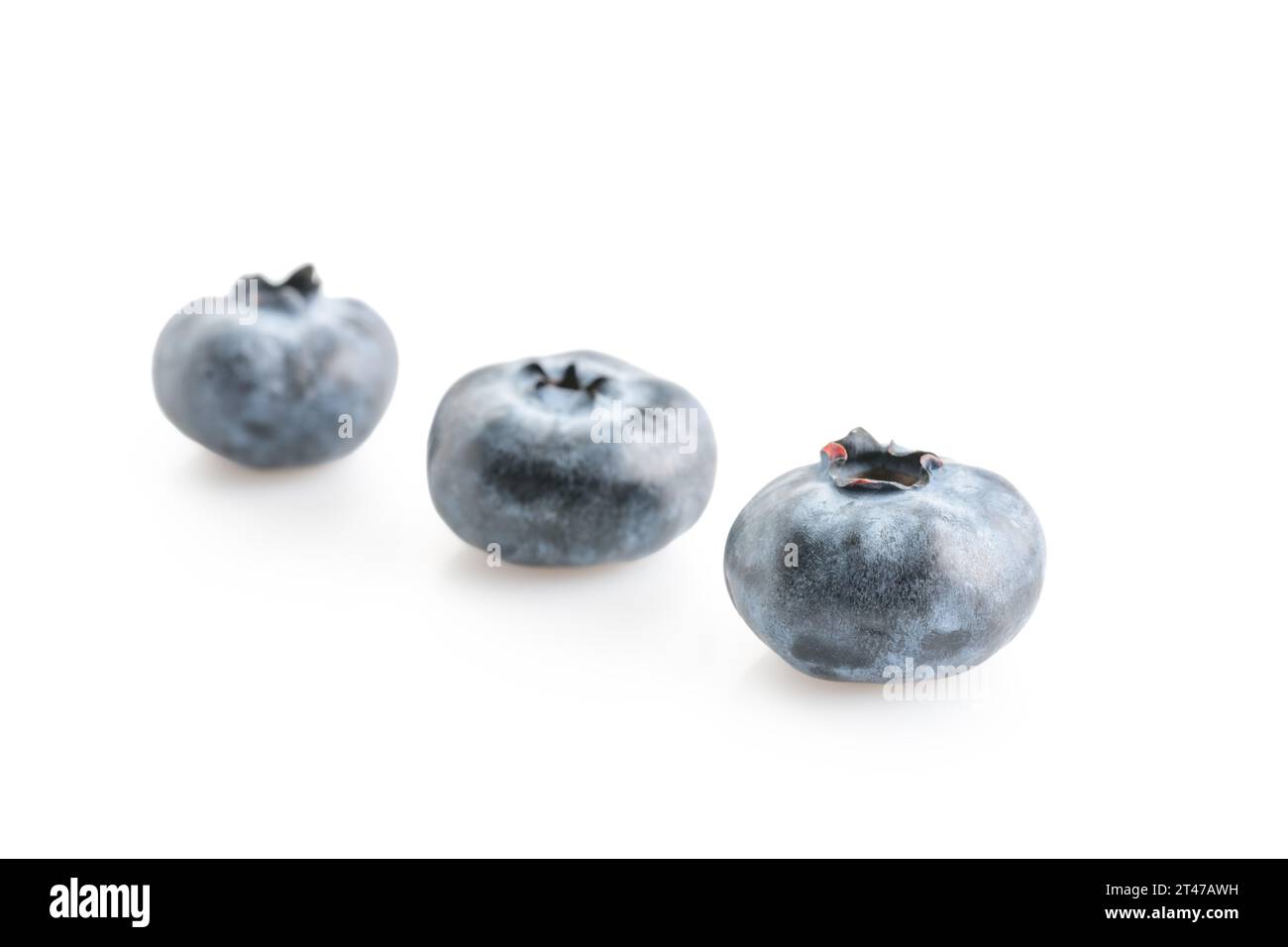 Three big blueberries isolated on white background, side view Stock ...