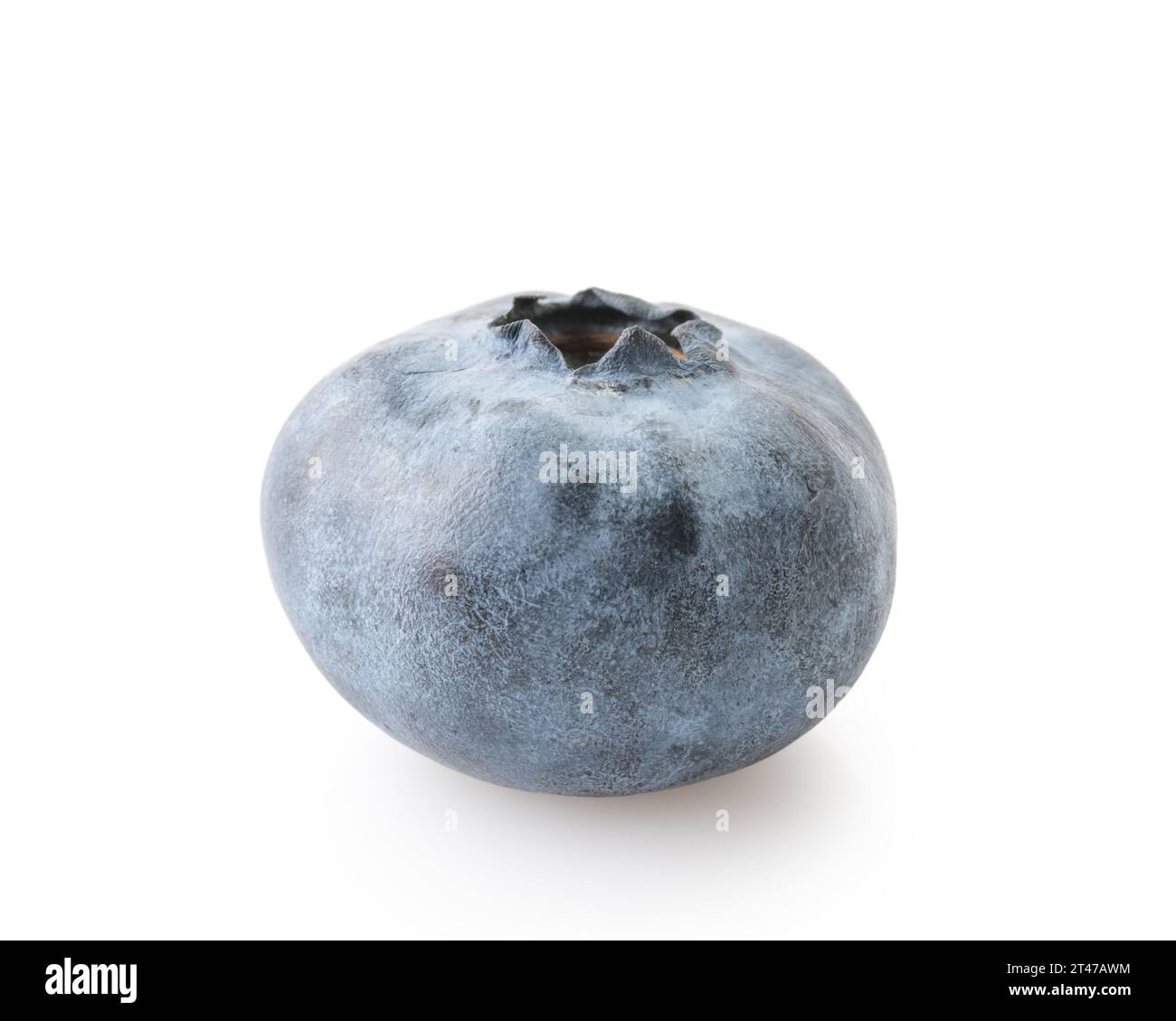 Big blueberry isolated on white background, side view Stock Photo - Alamy