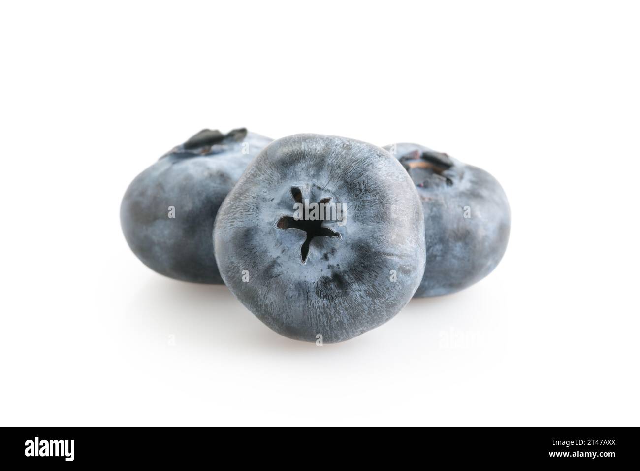 Three blueberries isolated on white background, side view Stock Photo ...