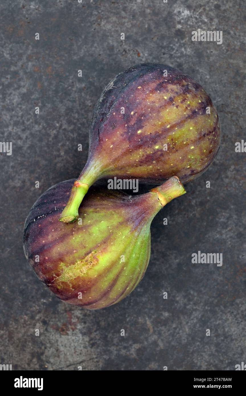 Two ripe Evita figs striped burgundy and lime green lying on tarnished ...