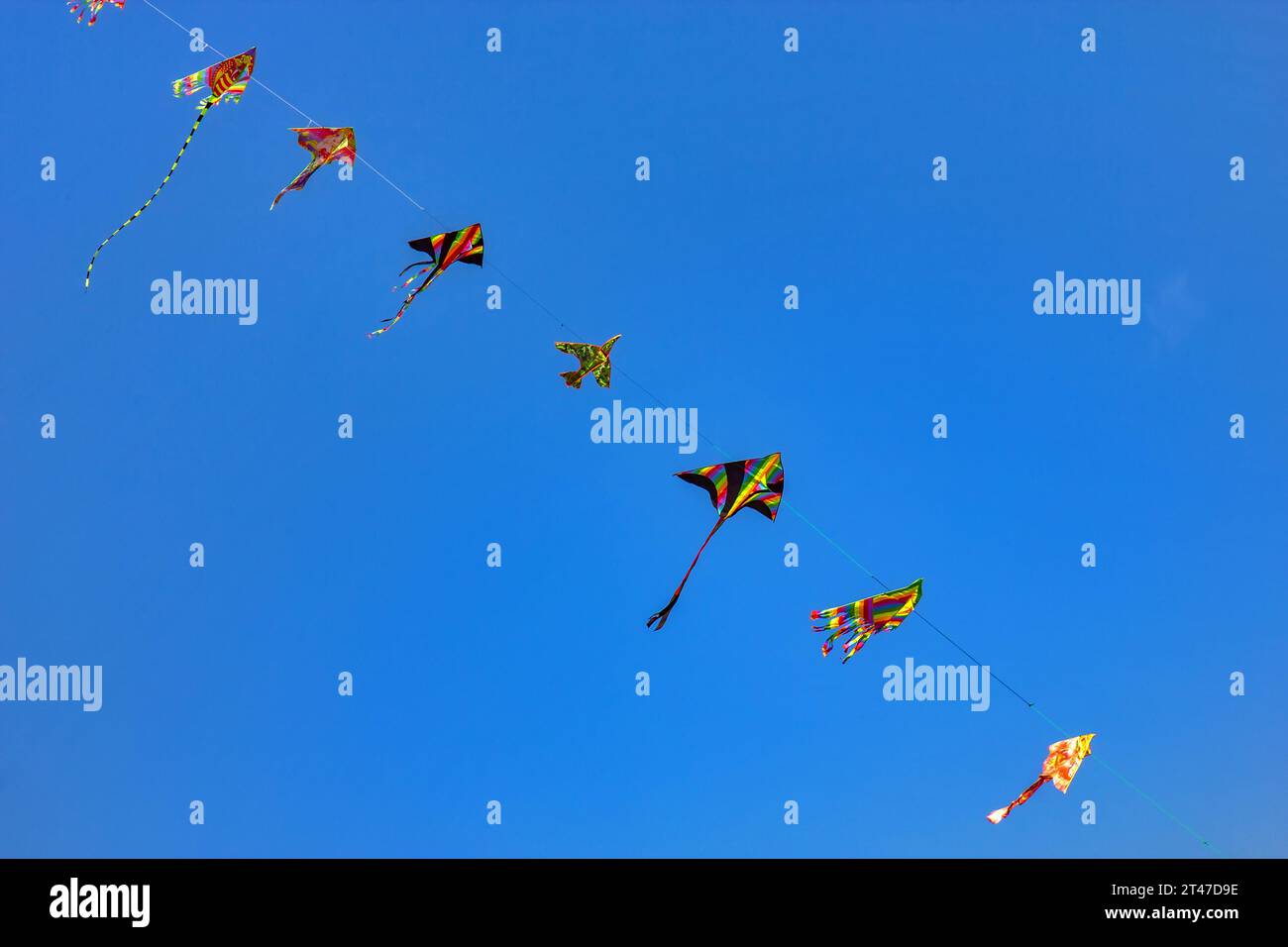 Kids wind kites on the blue sky in the summer Stock Photo - Alamy