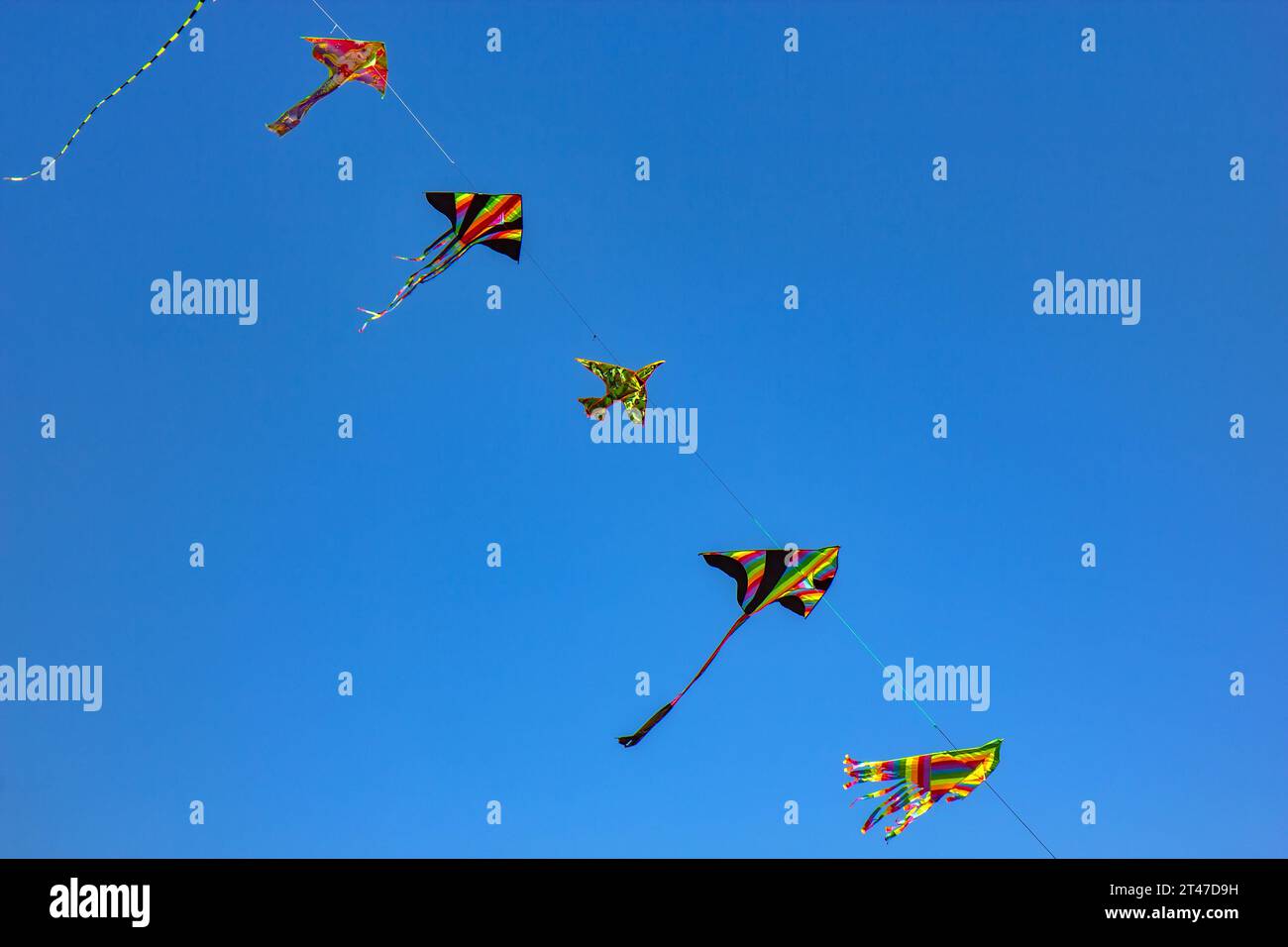 Kids wind kites on the blue sky in the summer Stock Photo - Alamy