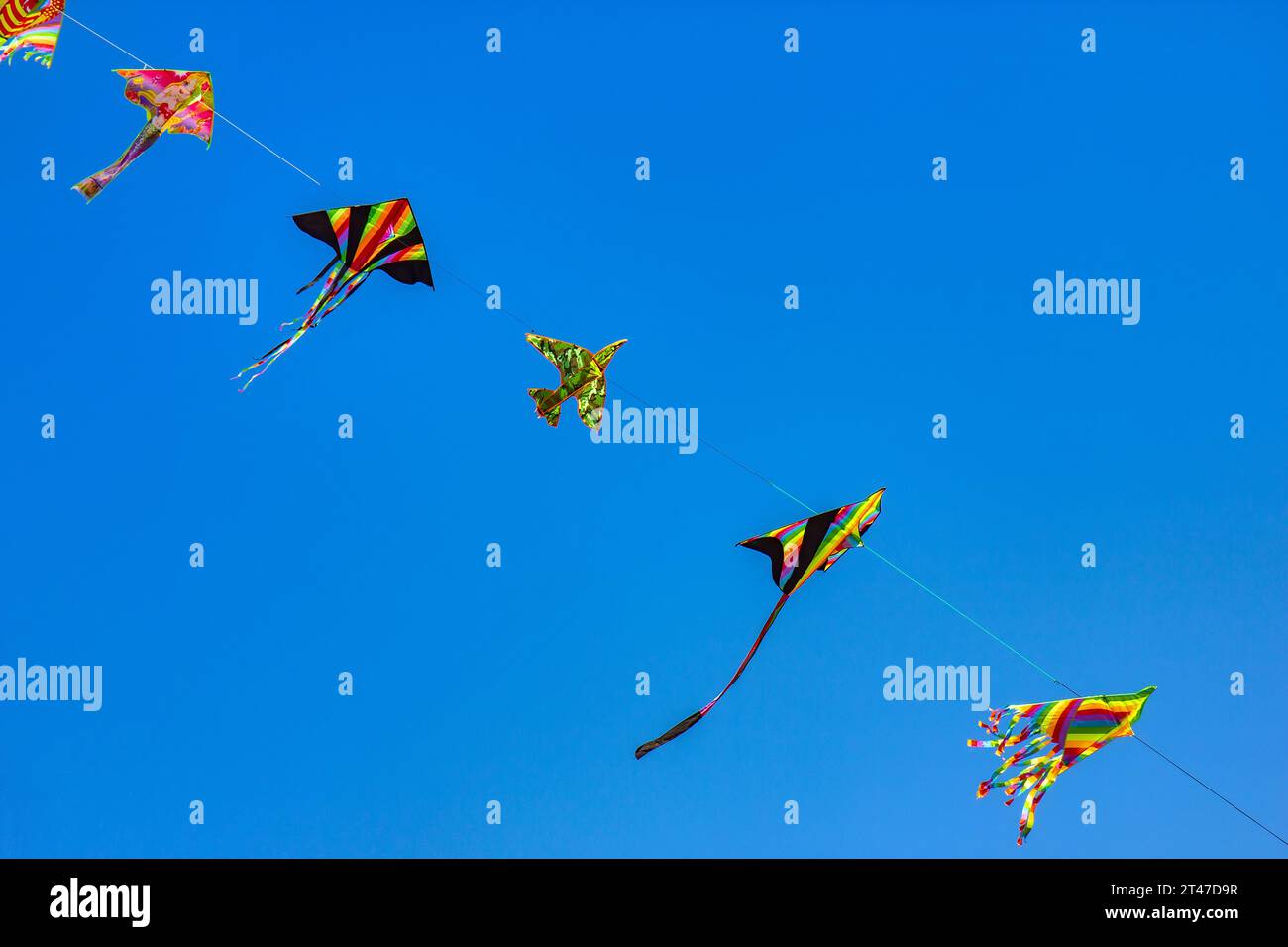 Kids wind kites on the blue sky in the summer Stock Photo - Alamy