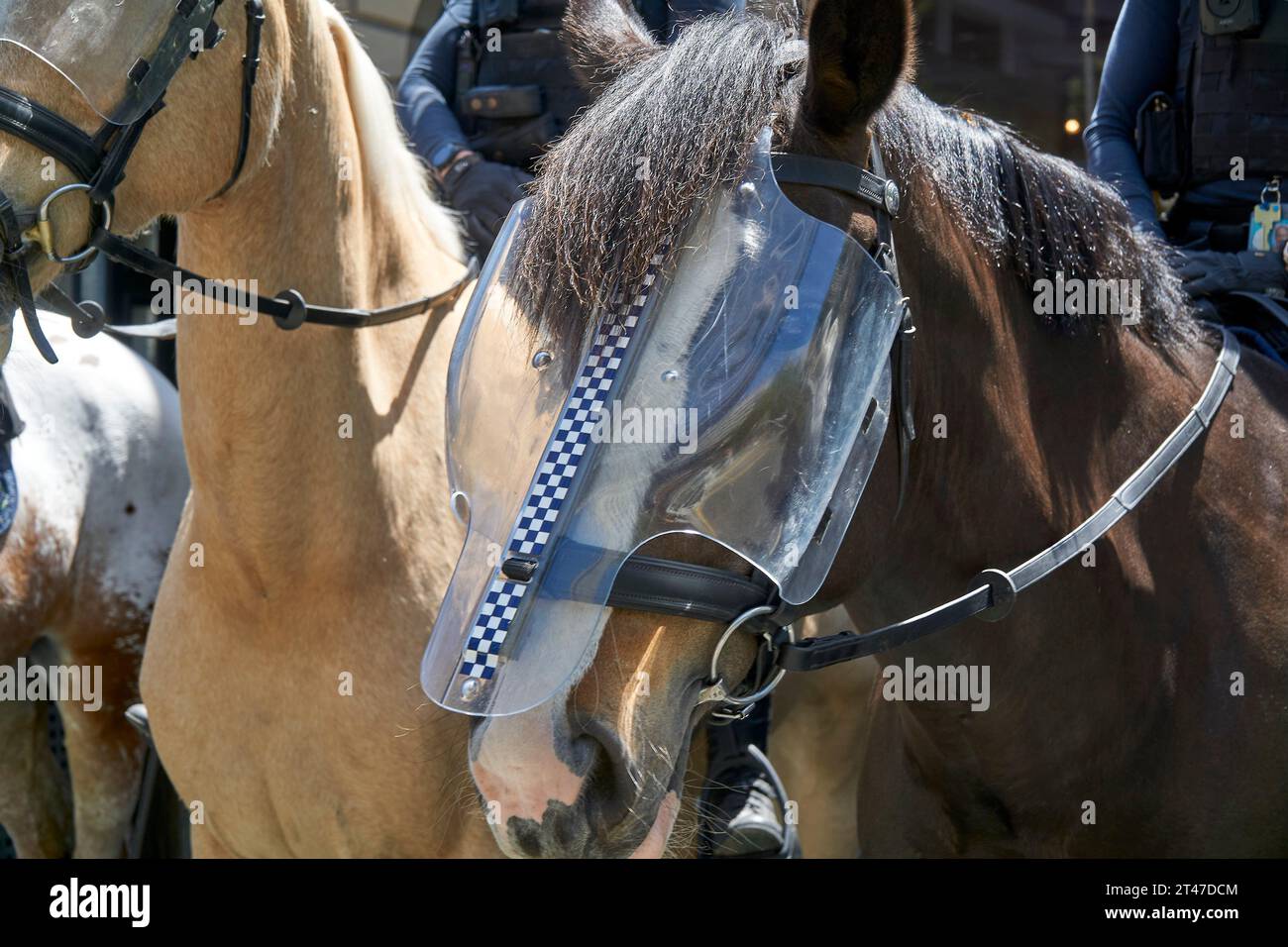 29 th October 2023, Melbourne Victoria Australia, Free Palestine Rally ...