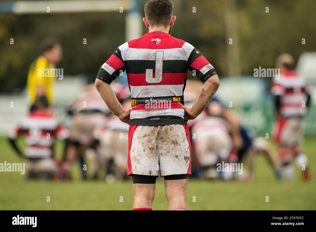 English amateur Rugby Union player with a dirty and muddy rugby shirt ...
