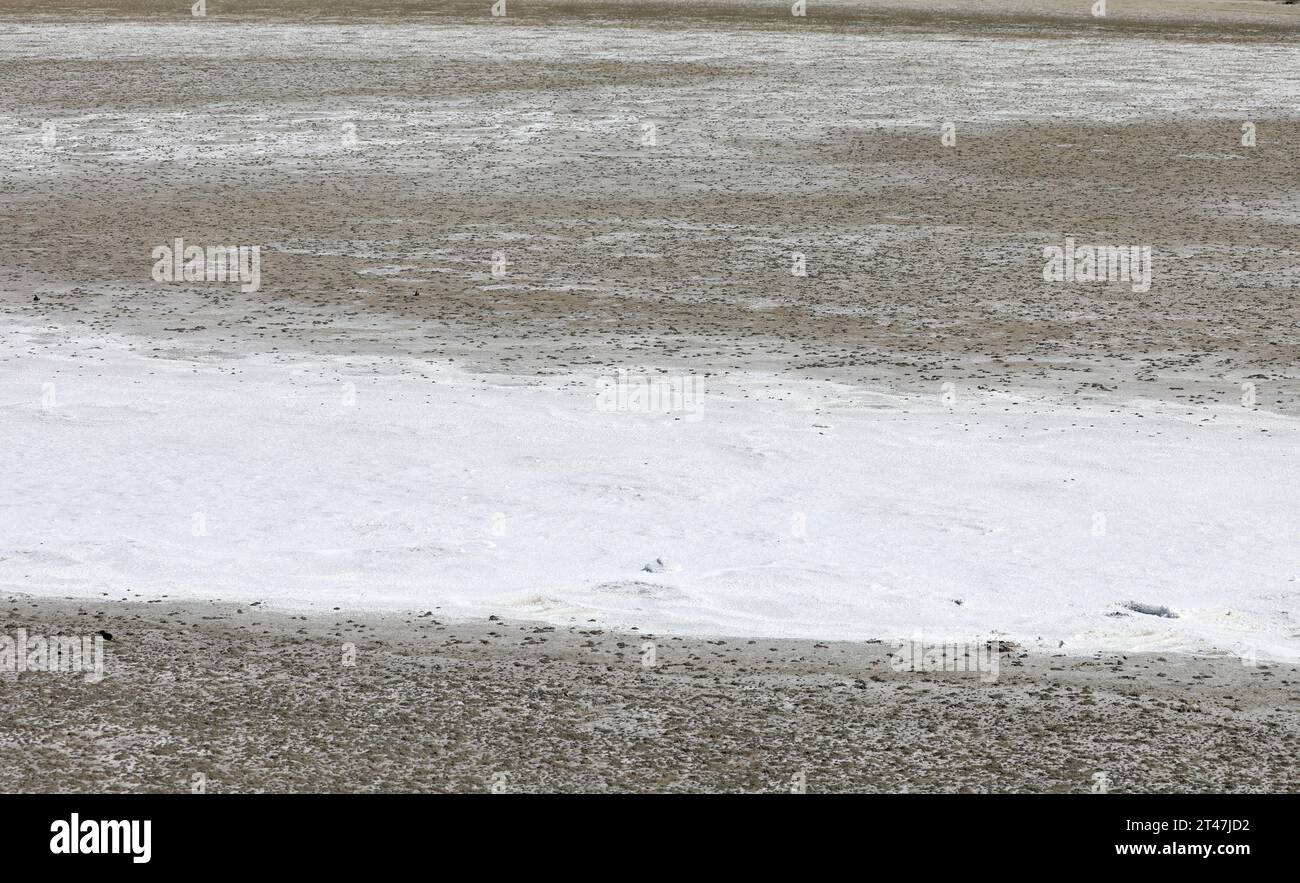 Salt deposits on the coast in the Camargue Stock Photo - Alamy